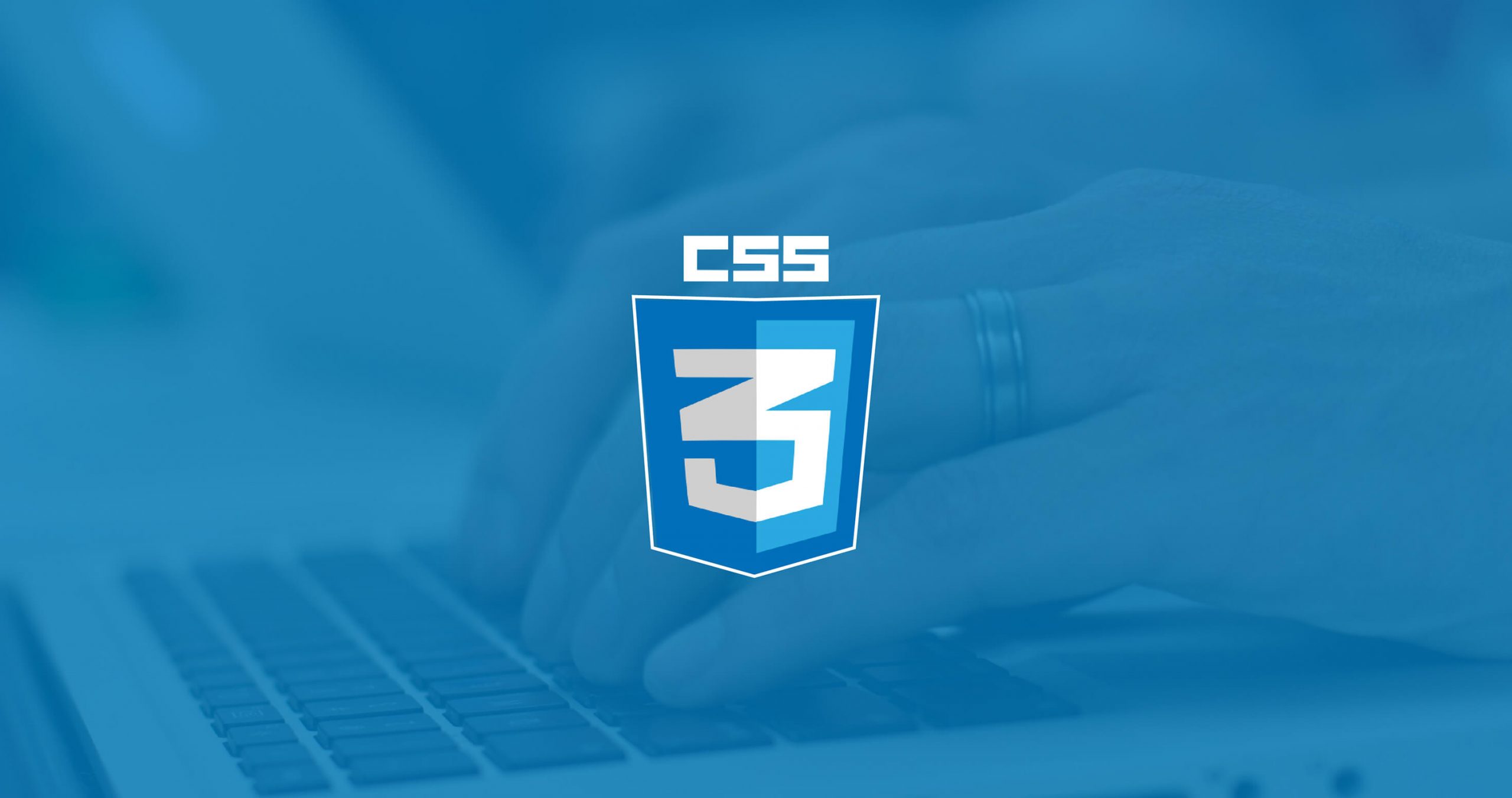 Simple Css Wordpress Polizgiant